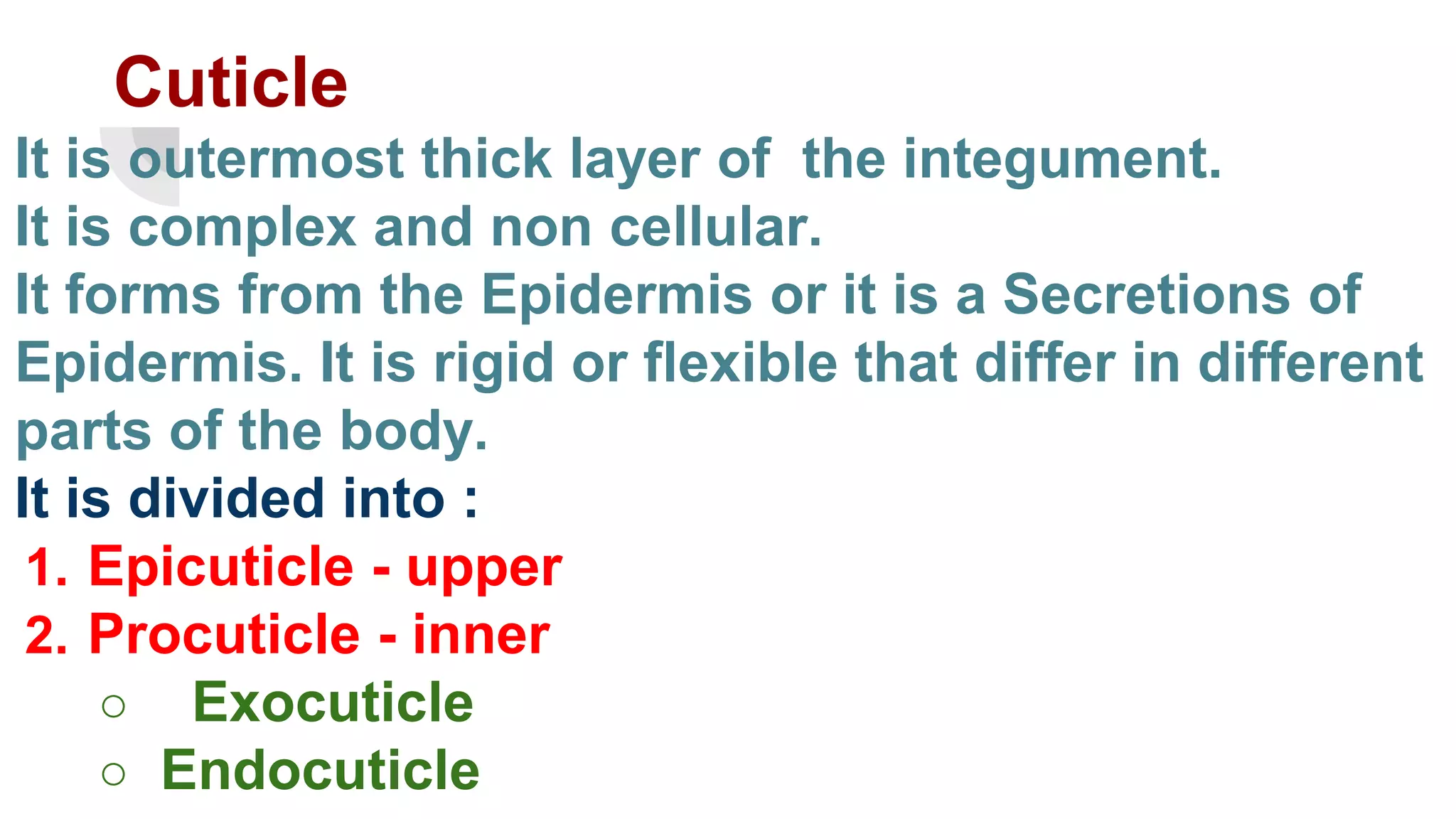 Anatomy and elementary physiology of integumentry systems of insects | PPTX