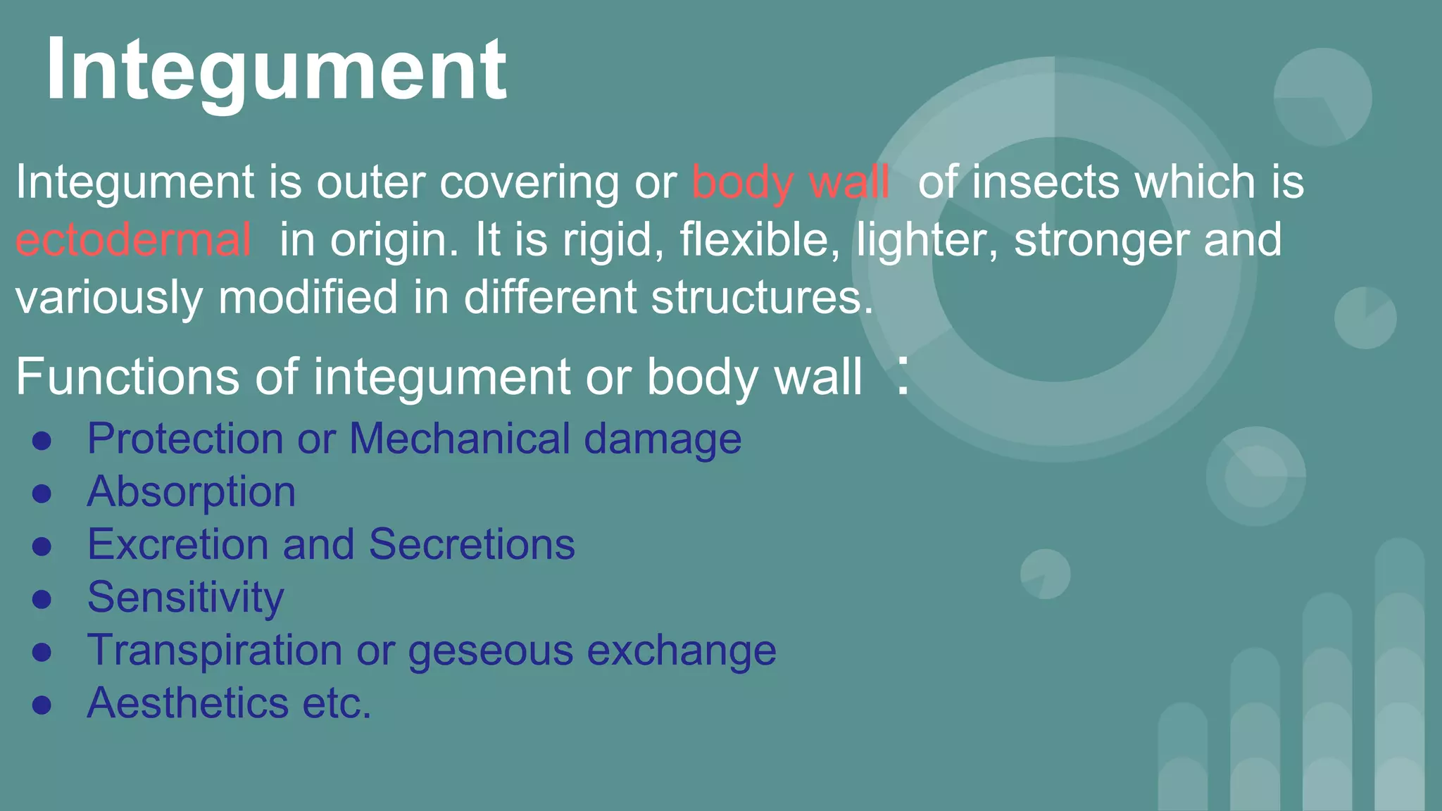 Anatomy and elementary physiology of integumentry systems of insects | PPTX