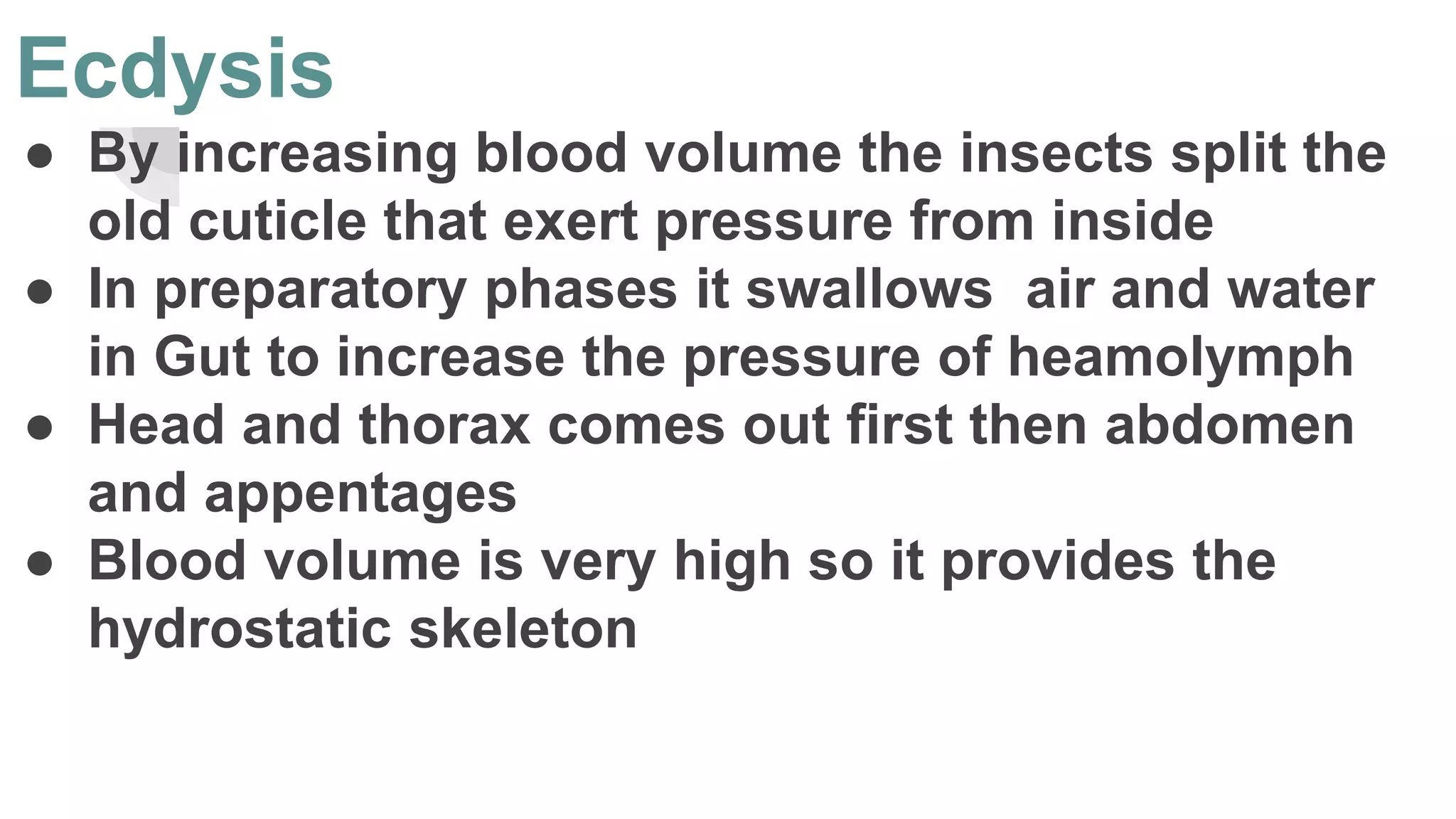 Anatomy and elementary physiology of integumentry systems of insects | PPTX