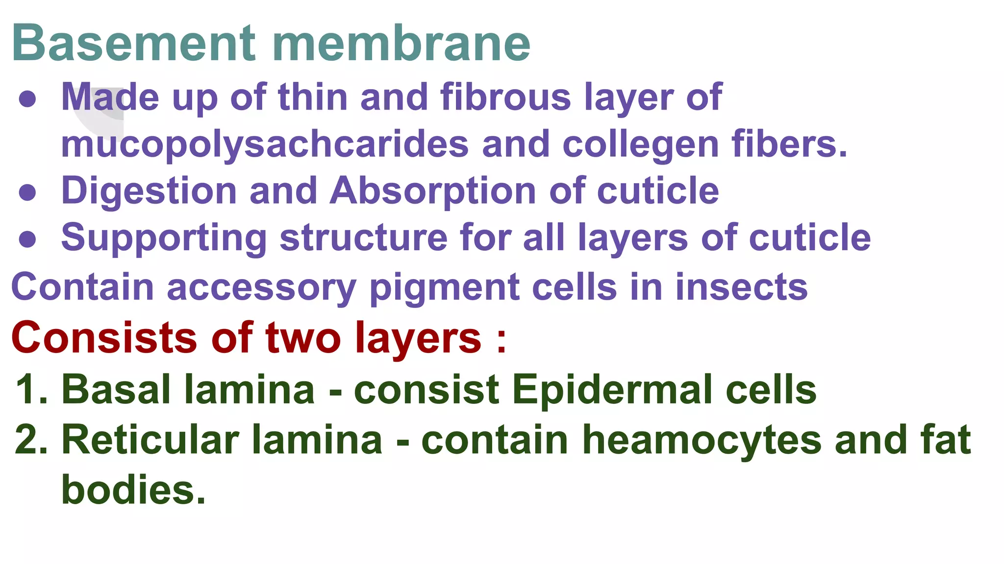 Anatomy and elementary physiology of integumentry systems of insects | PPTX