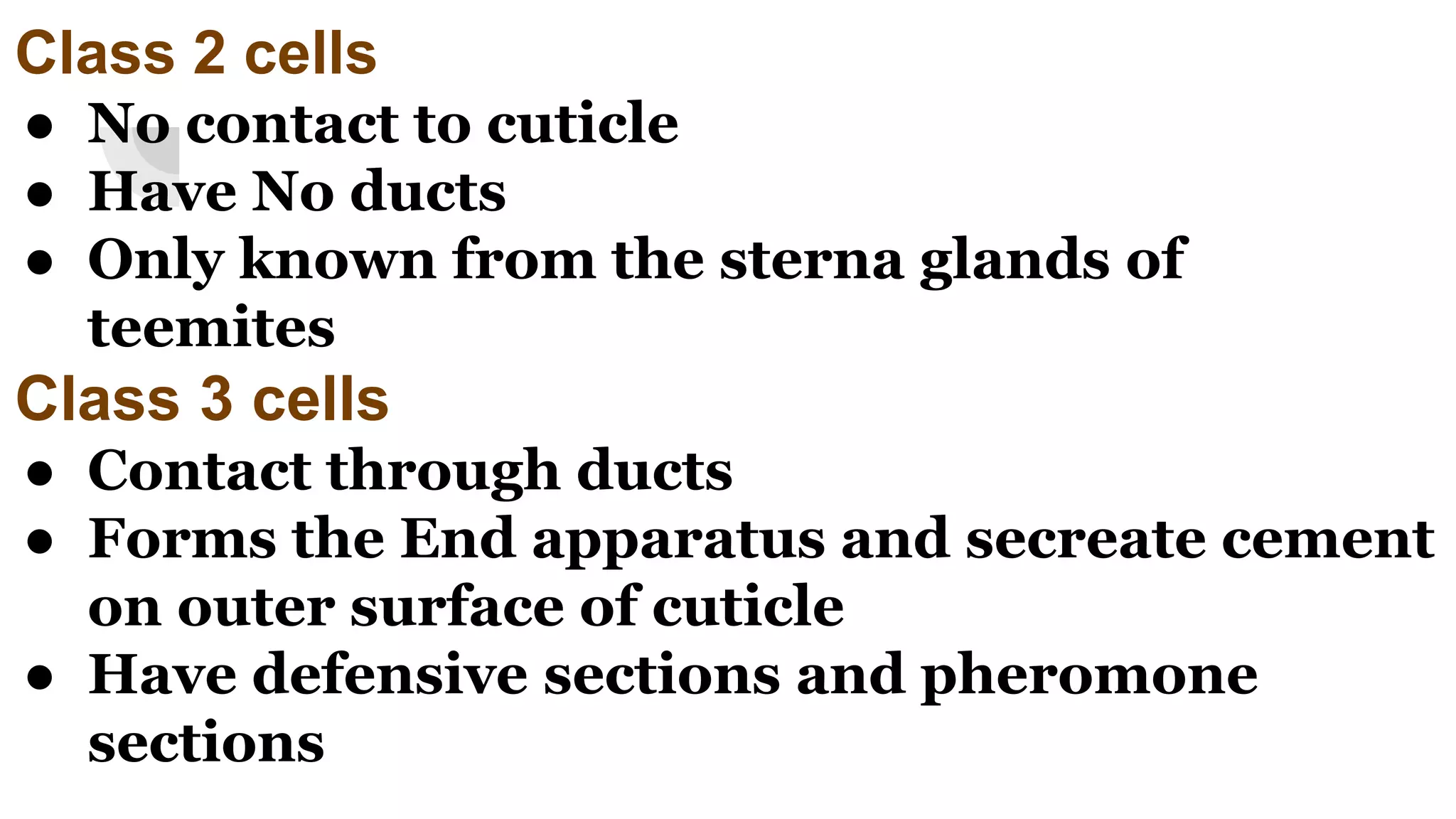 Anatomy and elementary physiology of integumentry systems of insects | PPTX