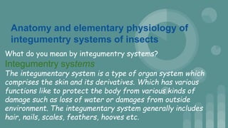 Anatomy and elementary physiology of integumentry systems of insects | PPTX
