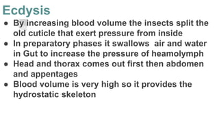 Anatomy and elementary physiology of integumentry systems of insects | PPTX