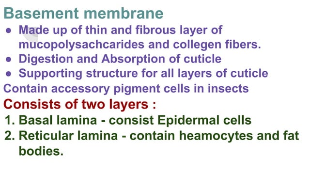 Anatomy and elementary physiology of integumentry systems of insects | PPTX
