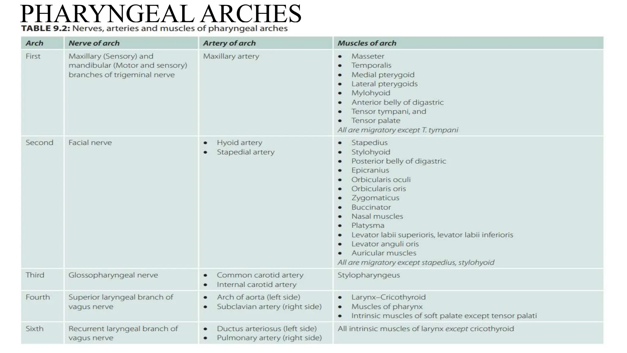 Anatomy and Embryology of External Ear.pptx