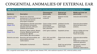 Anatomy and Embryology of External Ear.pptx