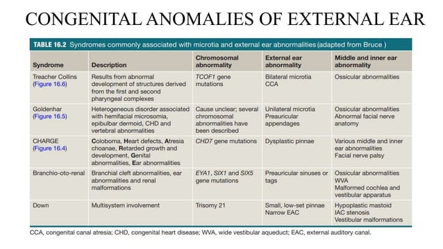 Anatomy and Embryology of External Ear.pptx