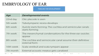Anatomy and Embryology of External Ear.pptx
