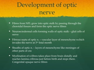 ANATOMY AND EMBRYOLOGY OF EYE 1st chapter.pptx