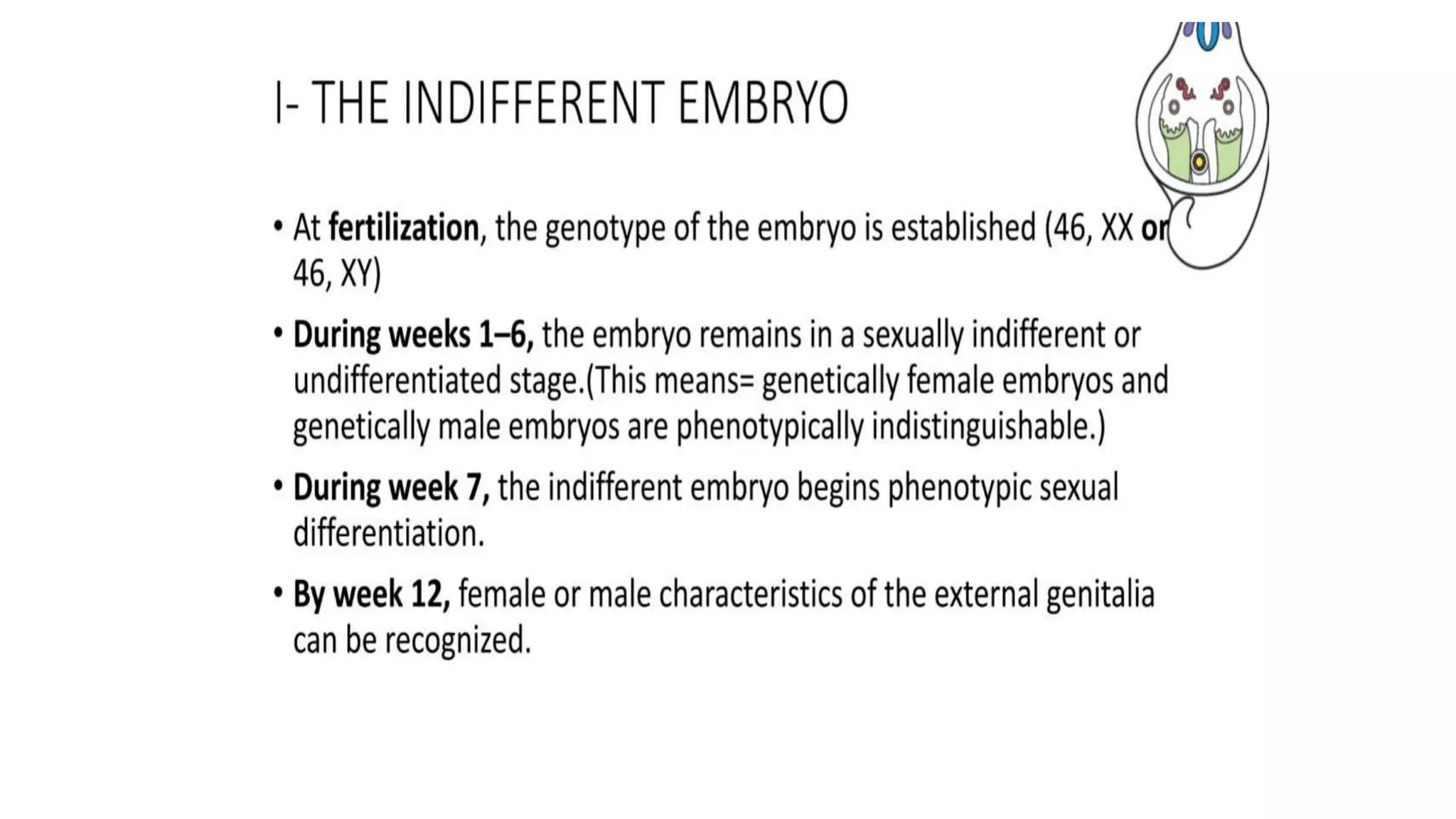 Anatomy and embryology of female reproductive system | PPTX