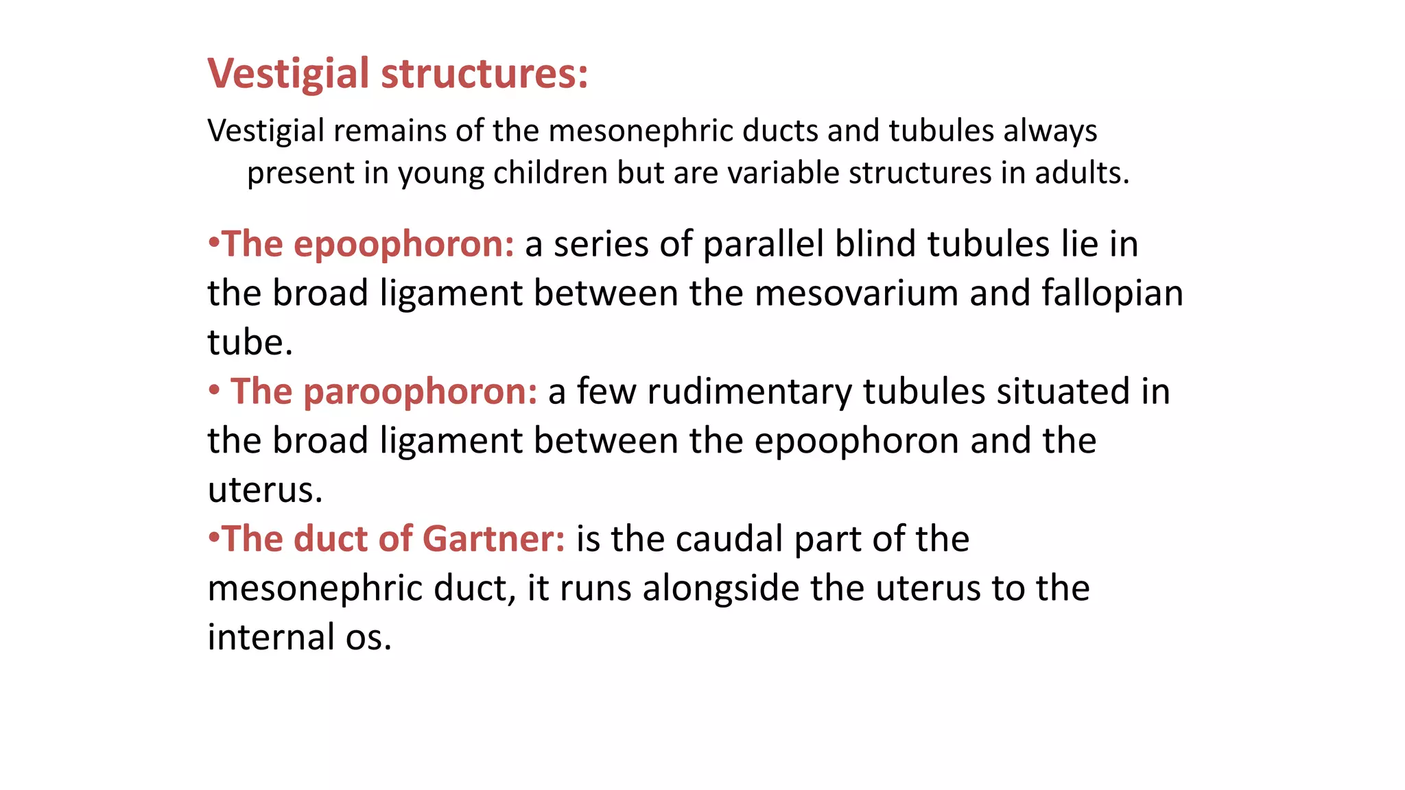 Anatomy and embryology of female reproductive system | PPTX