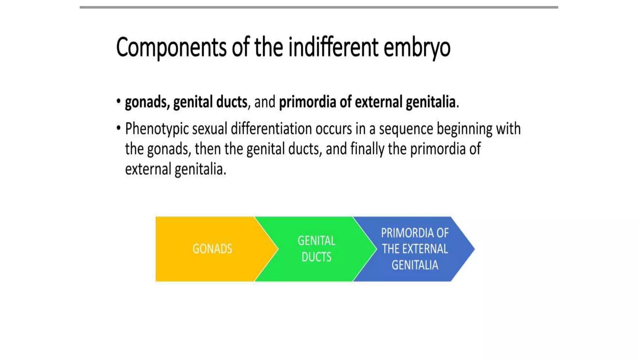 Anatomy and embryology of female reproductive system | PPTX