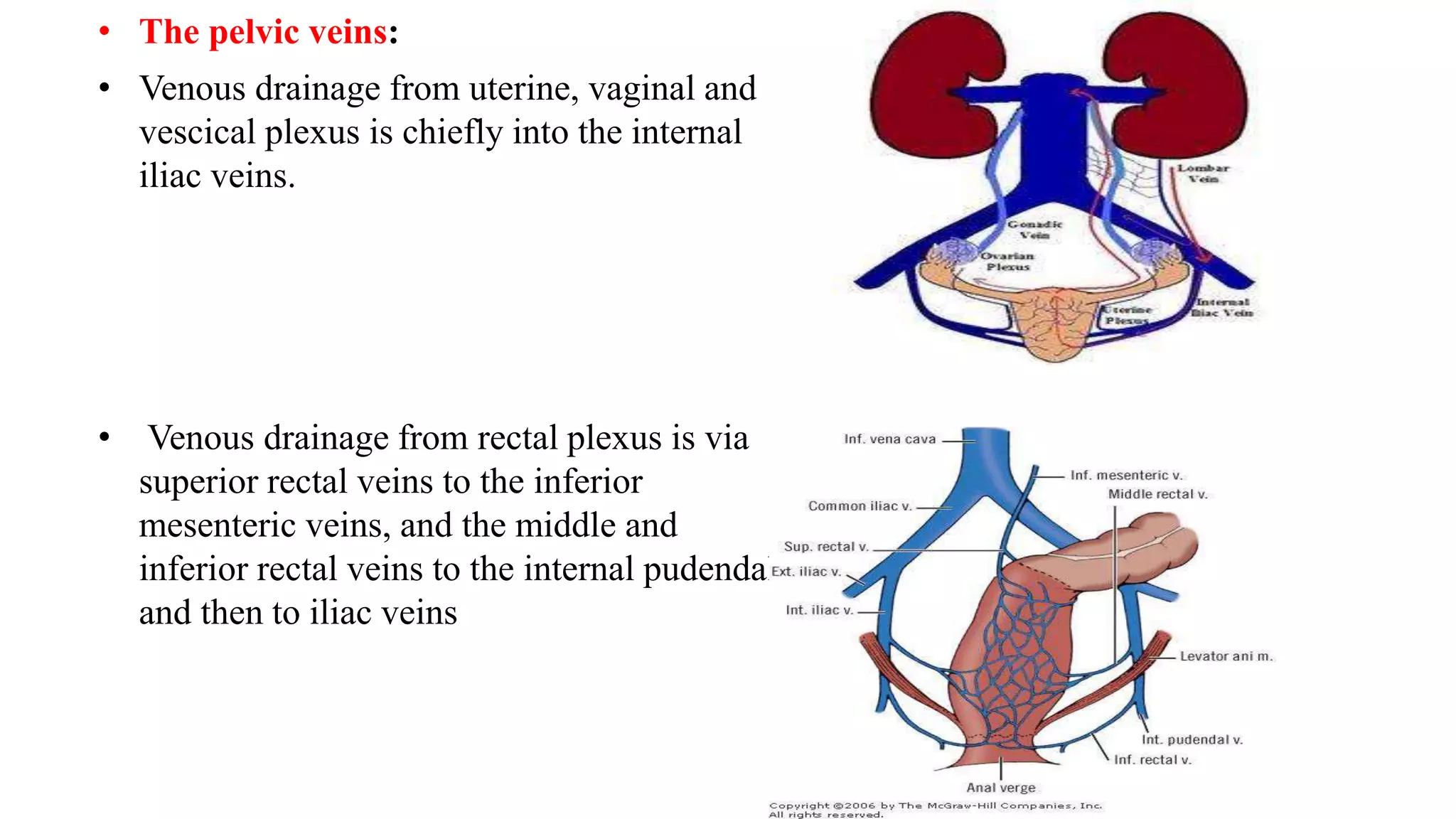 Anatomy and embryology of female reproductive system | PPTX