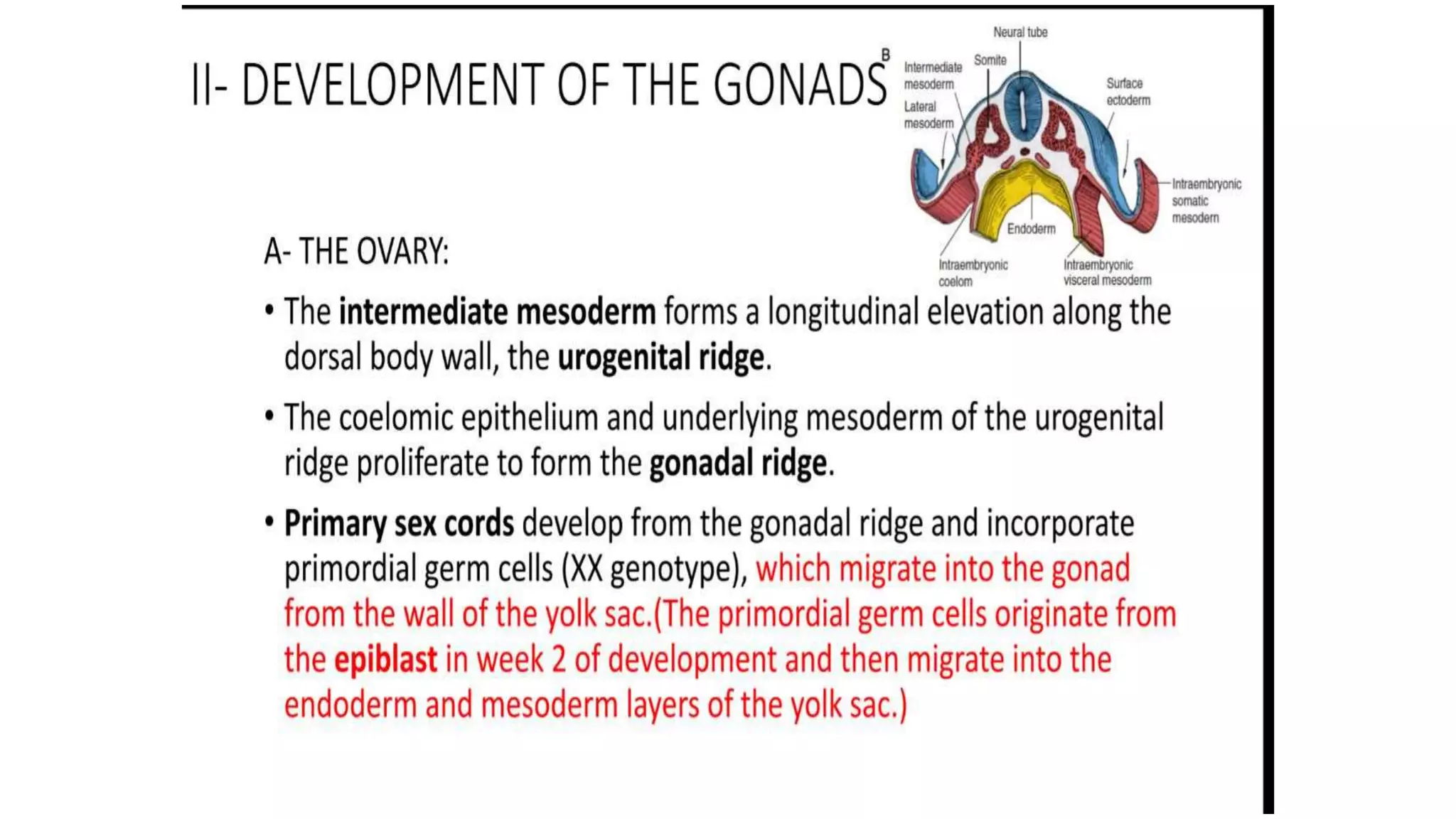 Anatomy and embryology of female reproductive system | PPTX