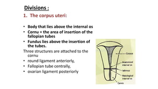 Anatomy and embryology of female reproductive system | PPTX