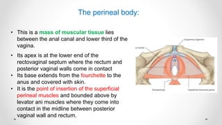 Anatomy and embryology of female reproductive system | PPTX