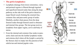 Anatomy and embryology of female reproductive system | PPTX