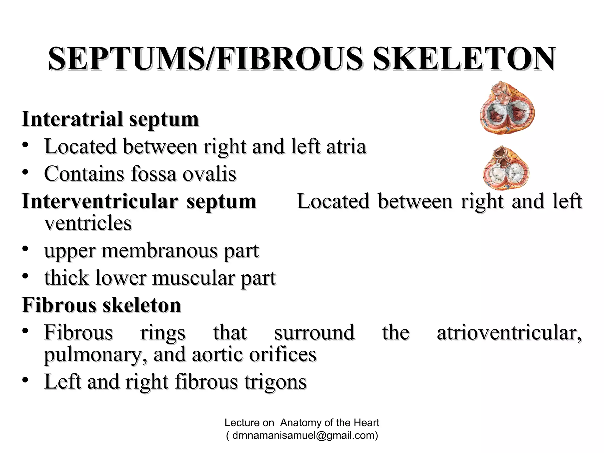 Anatomy and embryology of heart | PPT