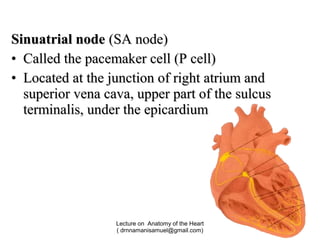 Anatomy and embryology of heart | PPT