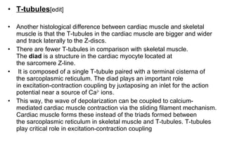 Anatomy and embryology of heart | PPT