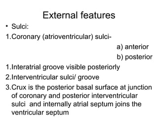 Anatomy and embryology of heart | PPT
