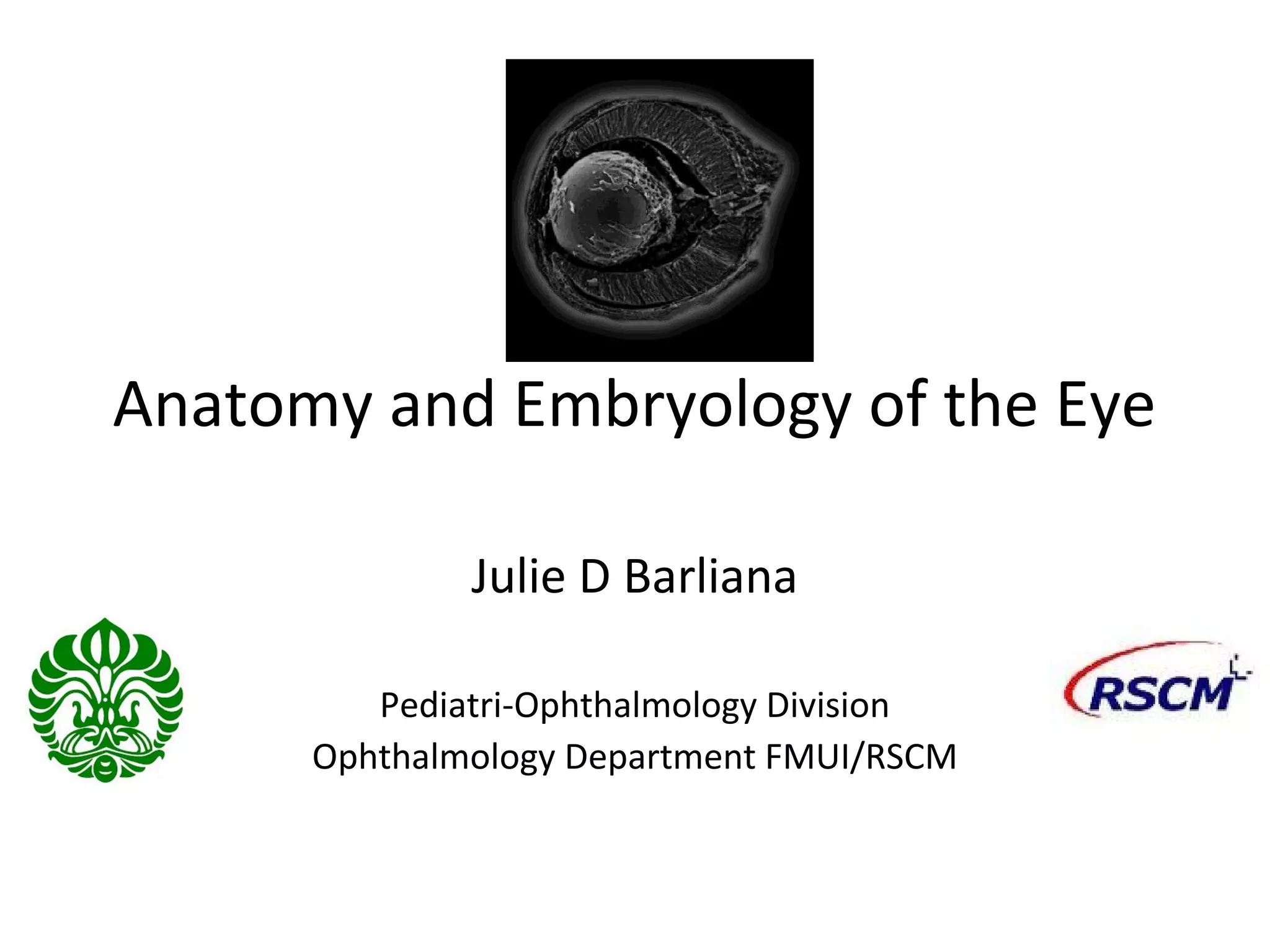 Anatomy and embryology of the eye 2011 | PPT
