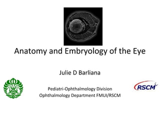 Anatomy and embryology of the eye 2011 | PPT