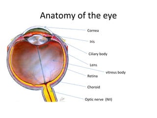 Anatomy and embryology of the eye 2011 | PPT