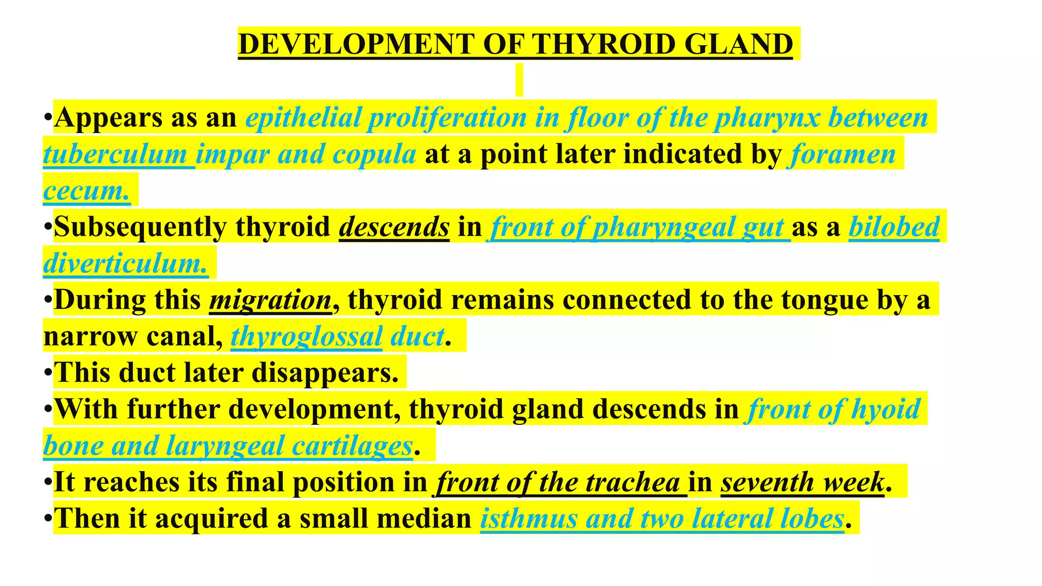 Anatomy and Embryology of thyroid and Parathyroid Glands 20.1.2022 Prof ...