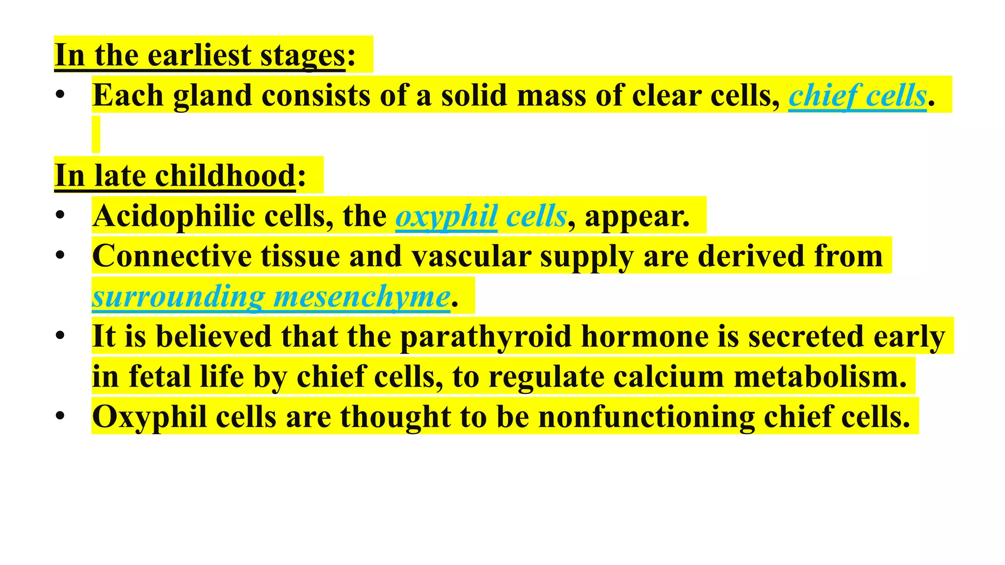Anatomy and Embryology of thyroid and Parathyroid Glands 20.1.2022 Prof ...