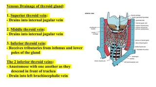 Anatomy and Embryology of thyroid and Parathyroid Glands 20.1.2022 Prof ...