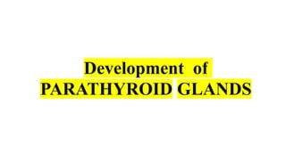 Anatomy and Embryology of thyroid and Parathyroid Glands 20.1.2022 Prof ...