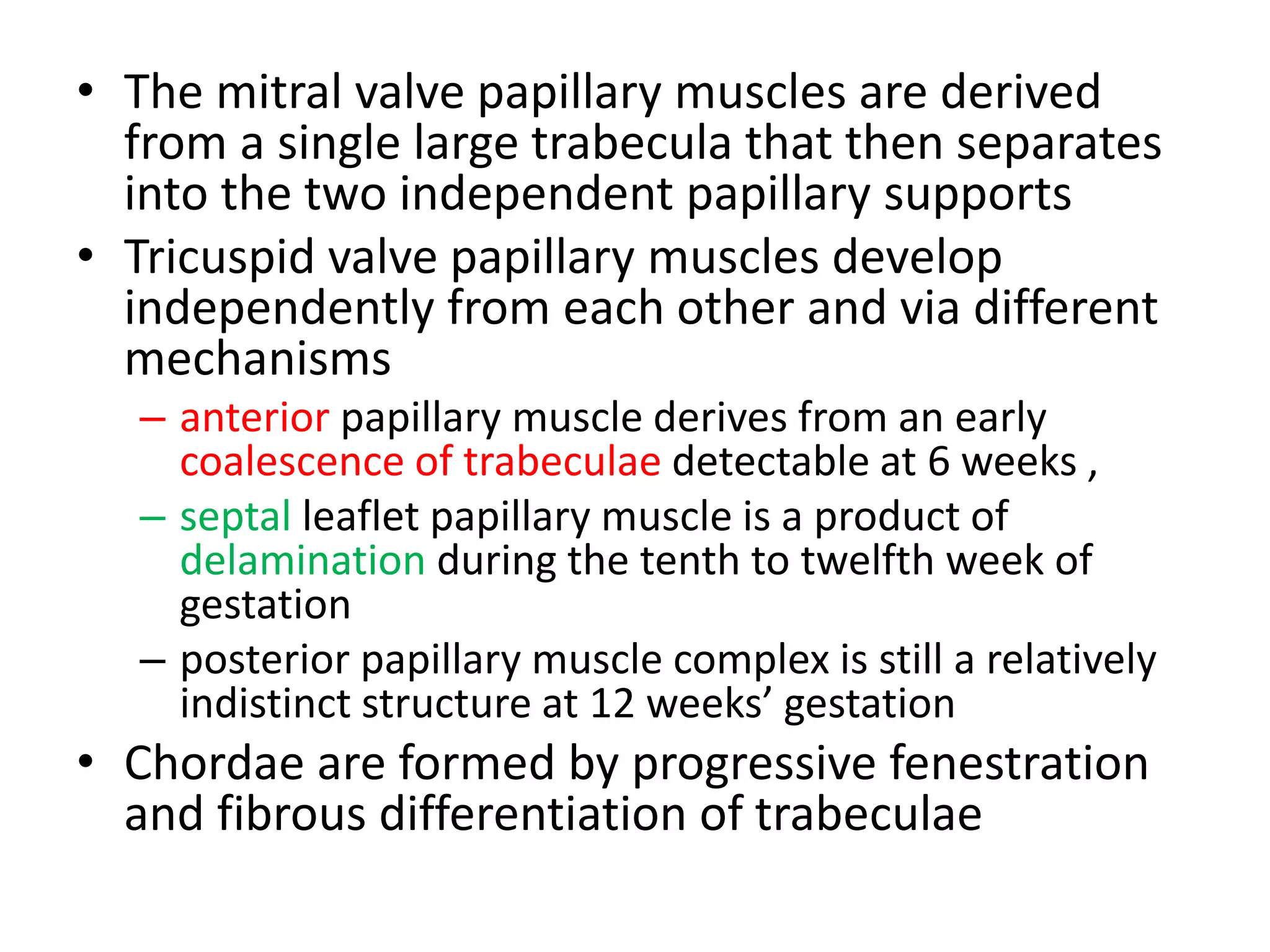 Anatomy and embryology of valves | PPTX