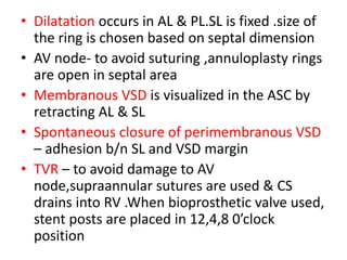 Anatomy and embryology of valves | PPTX