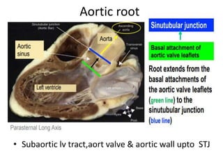 Anatomy and embryology of valves | PPTX