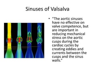 Anatomy and embryology of valves | PPTX