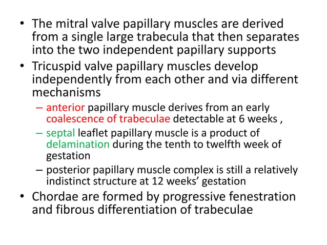 Anatomy and embryology of valves | PPTX