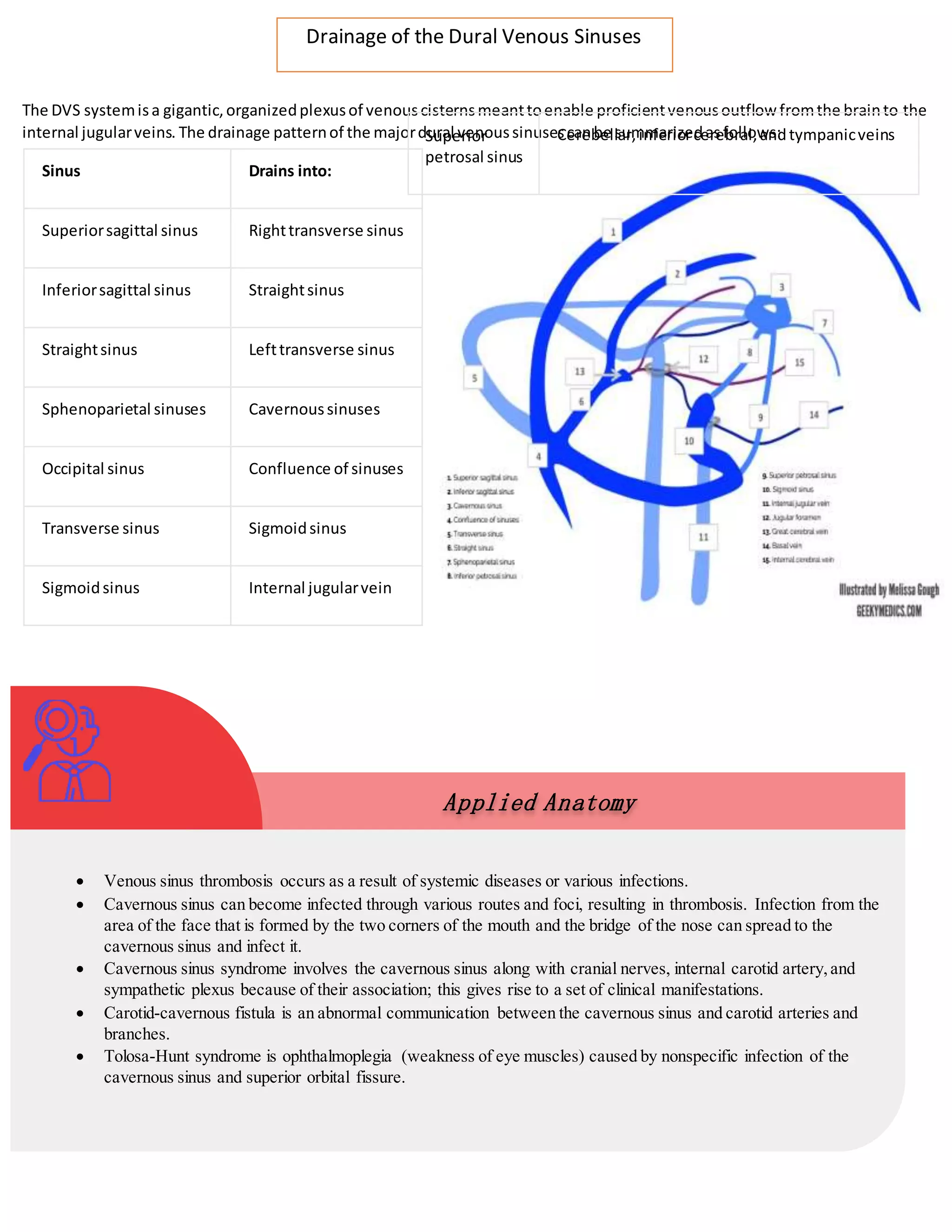 Anatomy and function of the dural venous sinuses | DOCX | Ear, Nose and ...