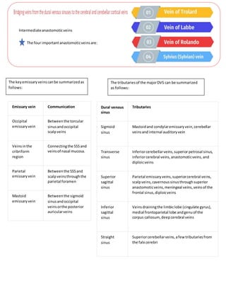 Anatomy and function of the dural venous sinuses | DOCX | Ear, Nose and ...