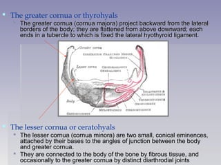 Anatomy and functions of hyoid | PPT