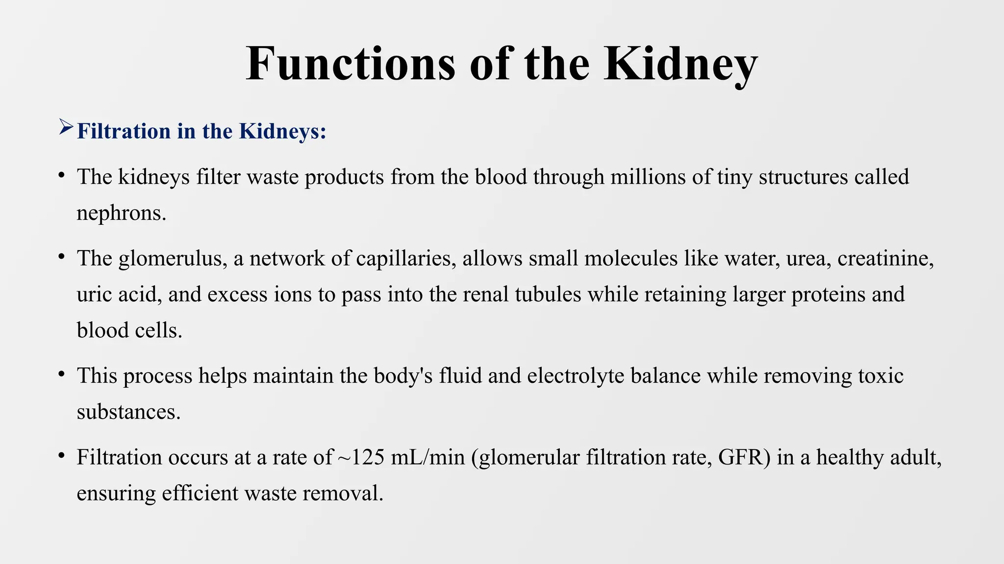 Anatomy and Functions of the Kidney.pptx