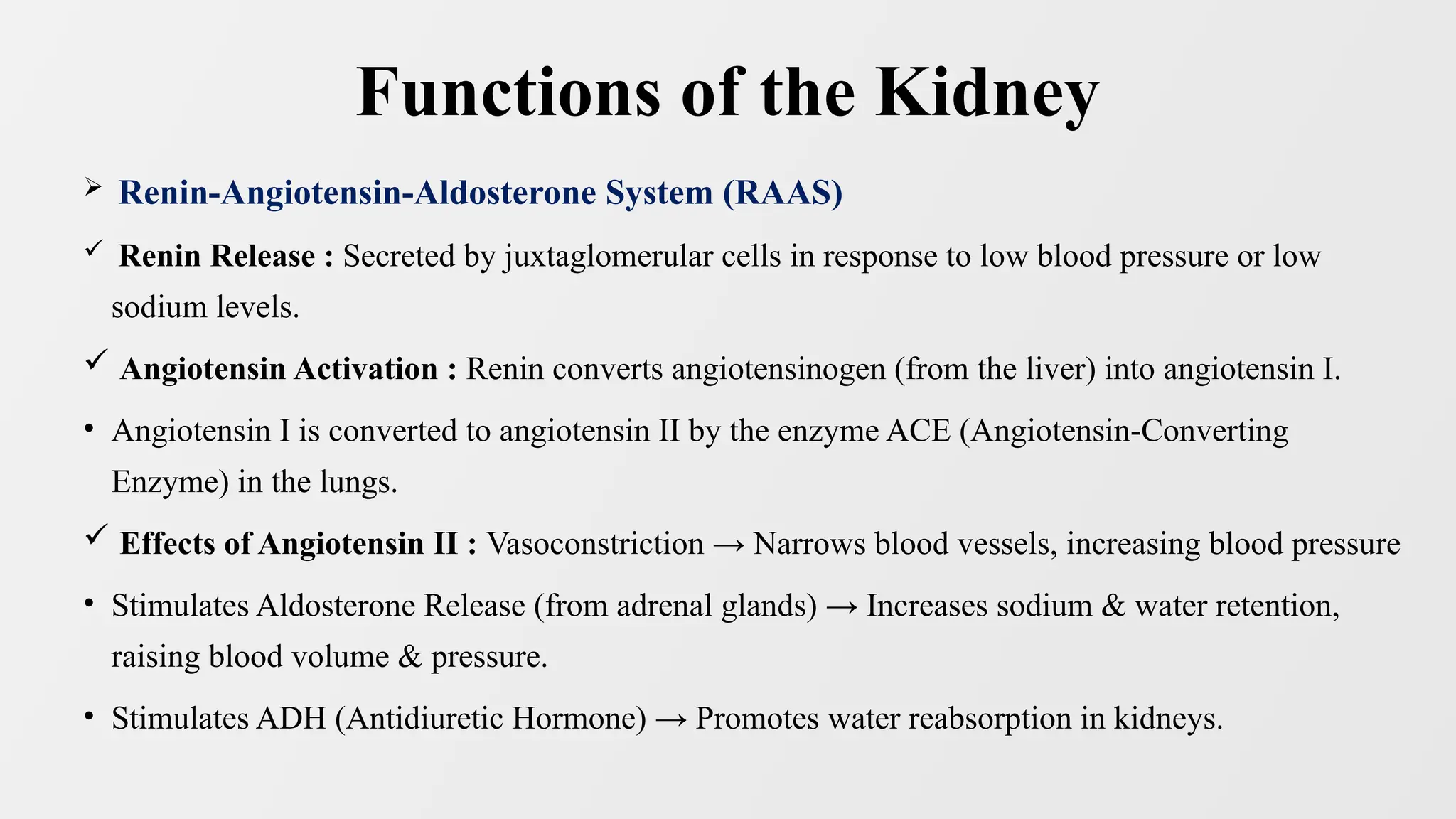 Anatomy and Functions of the Kidney.pptx