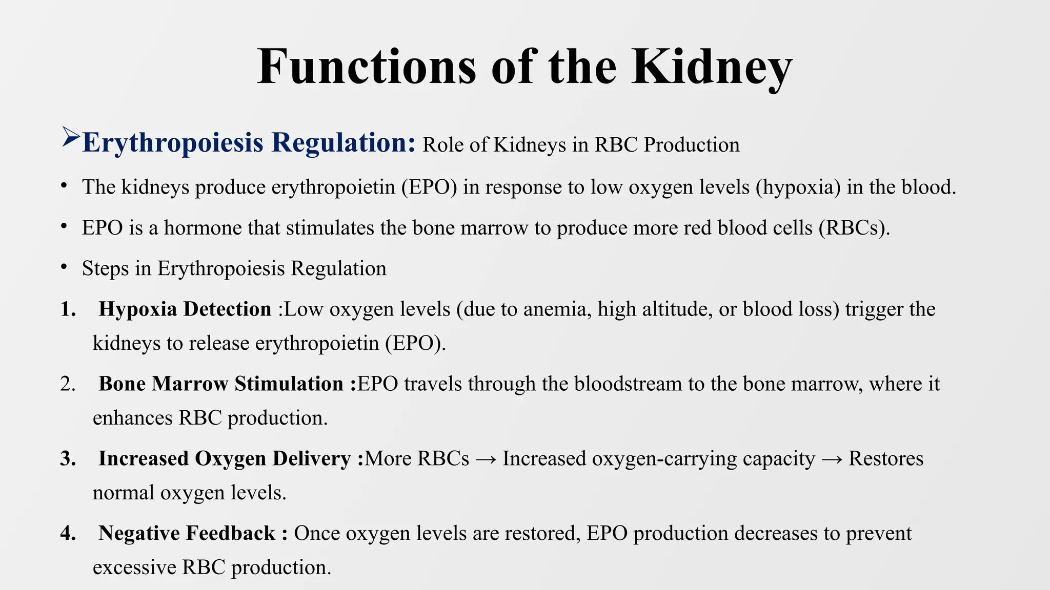 Anatomy and Functions of the Kidney.pptx