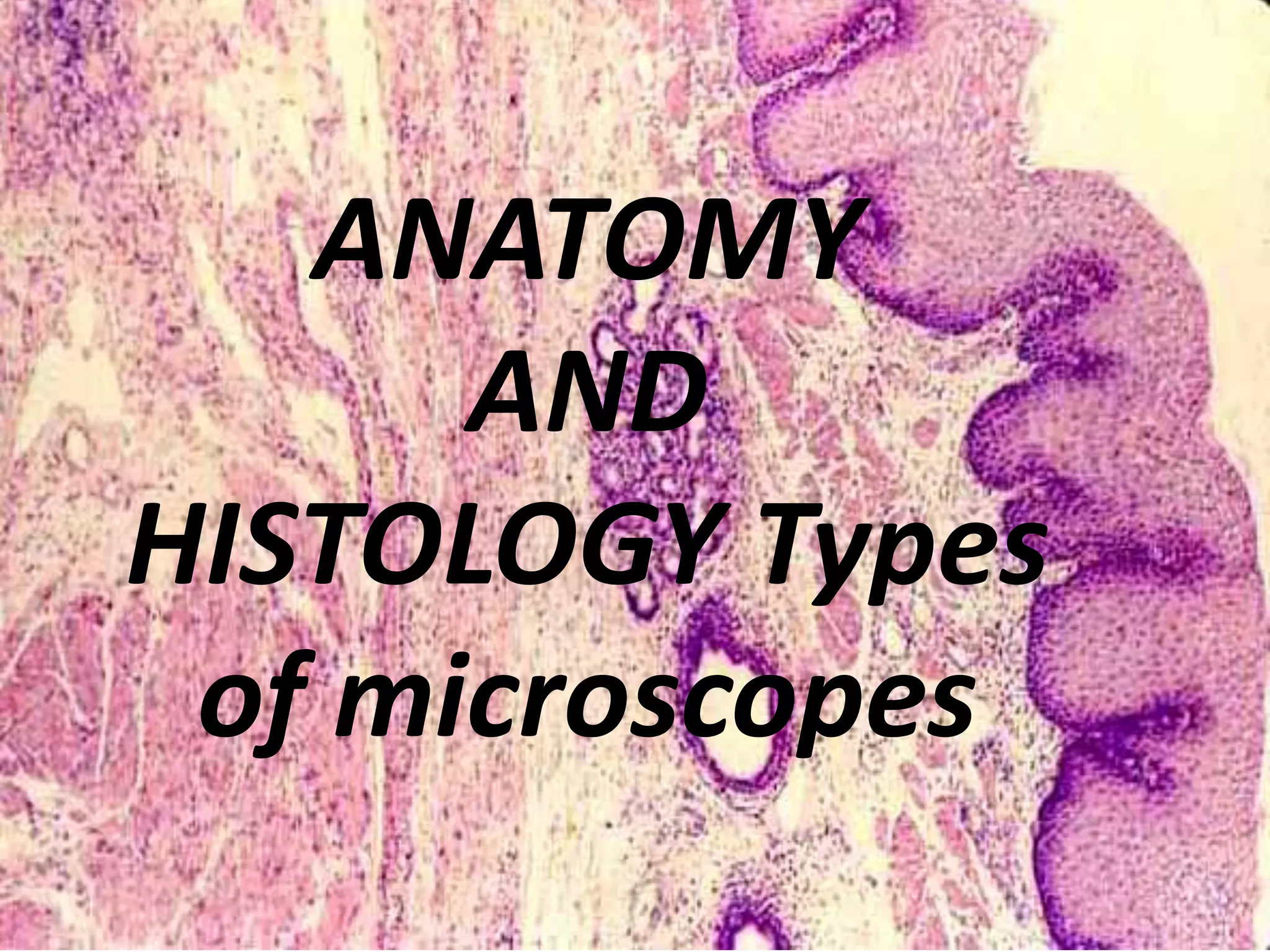 Anatomy and histology types of microscopes ppt | PPTX