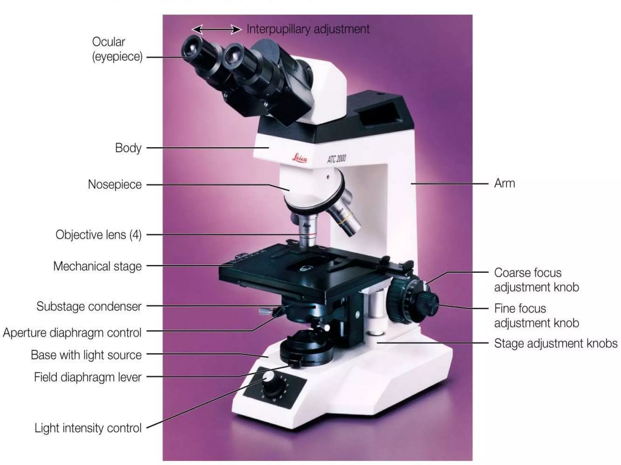 Anatomy and histology types of microscopes ppt | PPTX