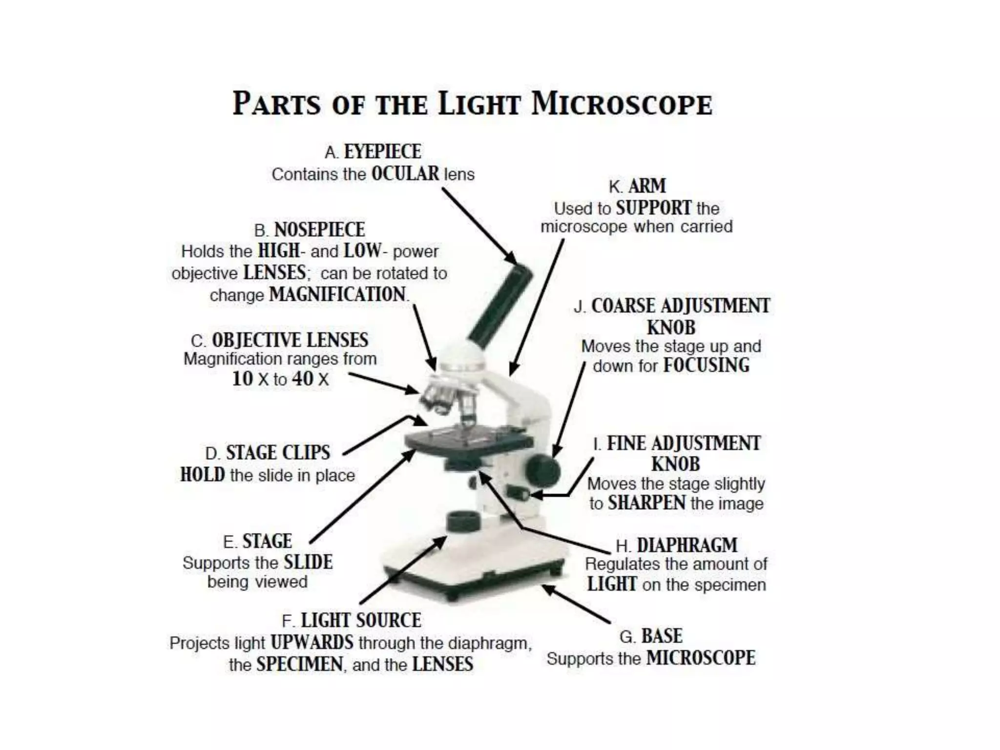 Anatomy and histology types of microscopes ppt | PPTX