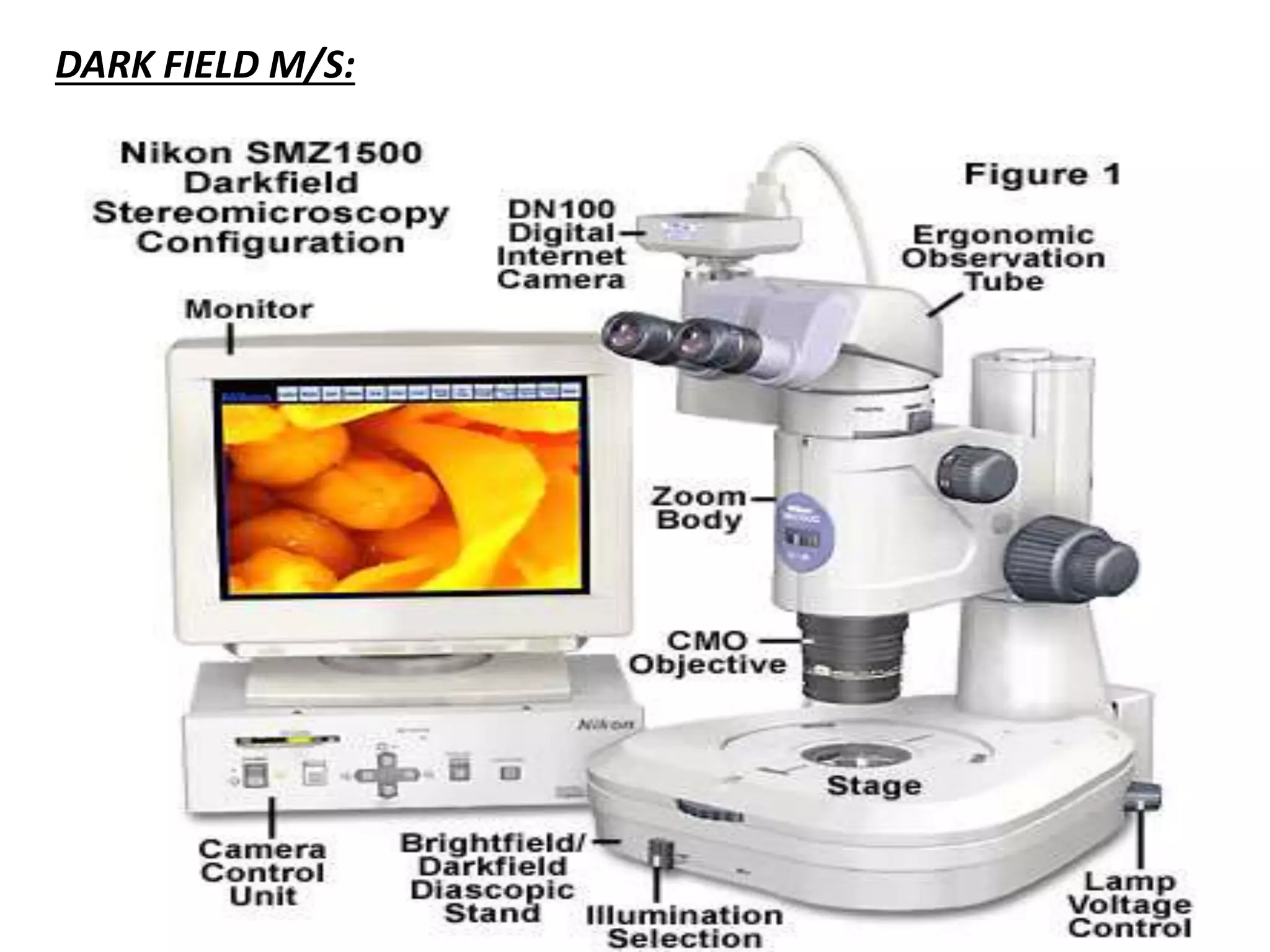 Anatomy and histology types of microscopes ppt | PPTX