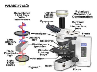 Anatomy and histology types of microscopes ppt | PPTX
