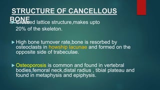 anatomy and histology of Bone-201221144633.pdf