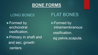 anatomy and histology of Bone-201221144633.pdf